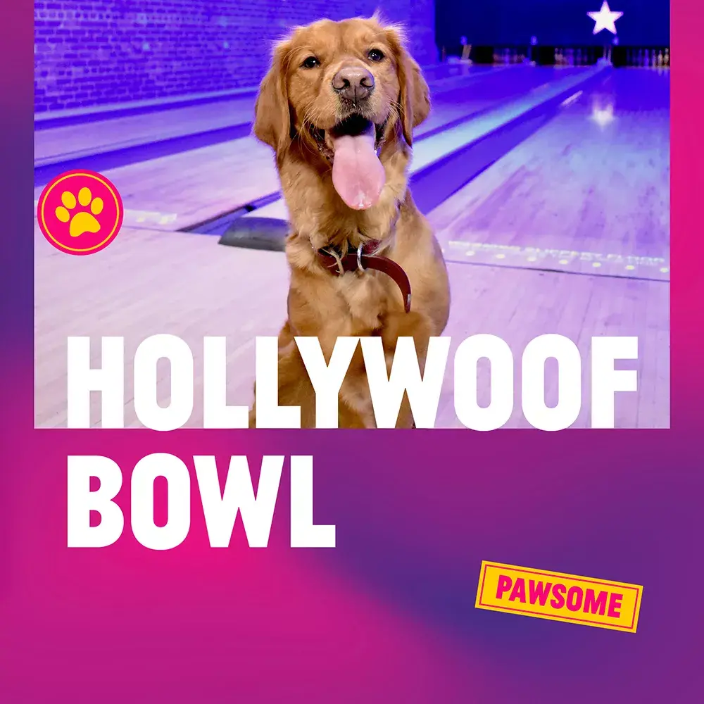 Bowling - Hollywood Bowl, The UK's Best Ten Pin Bowling